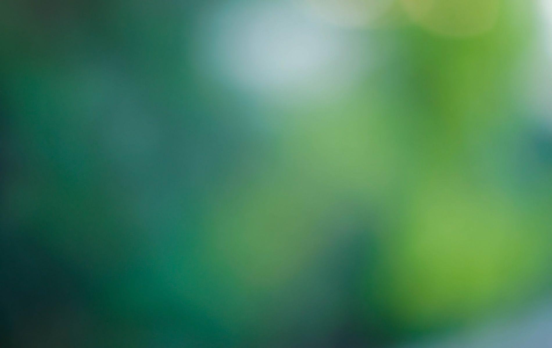 Out of Focus Wallpapers - Top Free Out of Focus Backgrounds ...