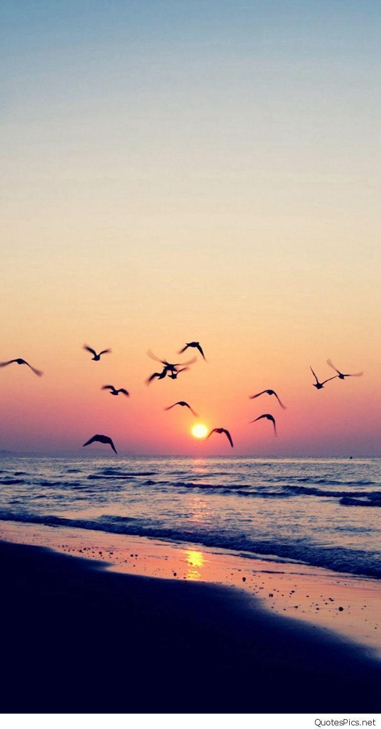 Phone Sunset Wallpapers - Top Free Phone Sunset Backgrounds ...
