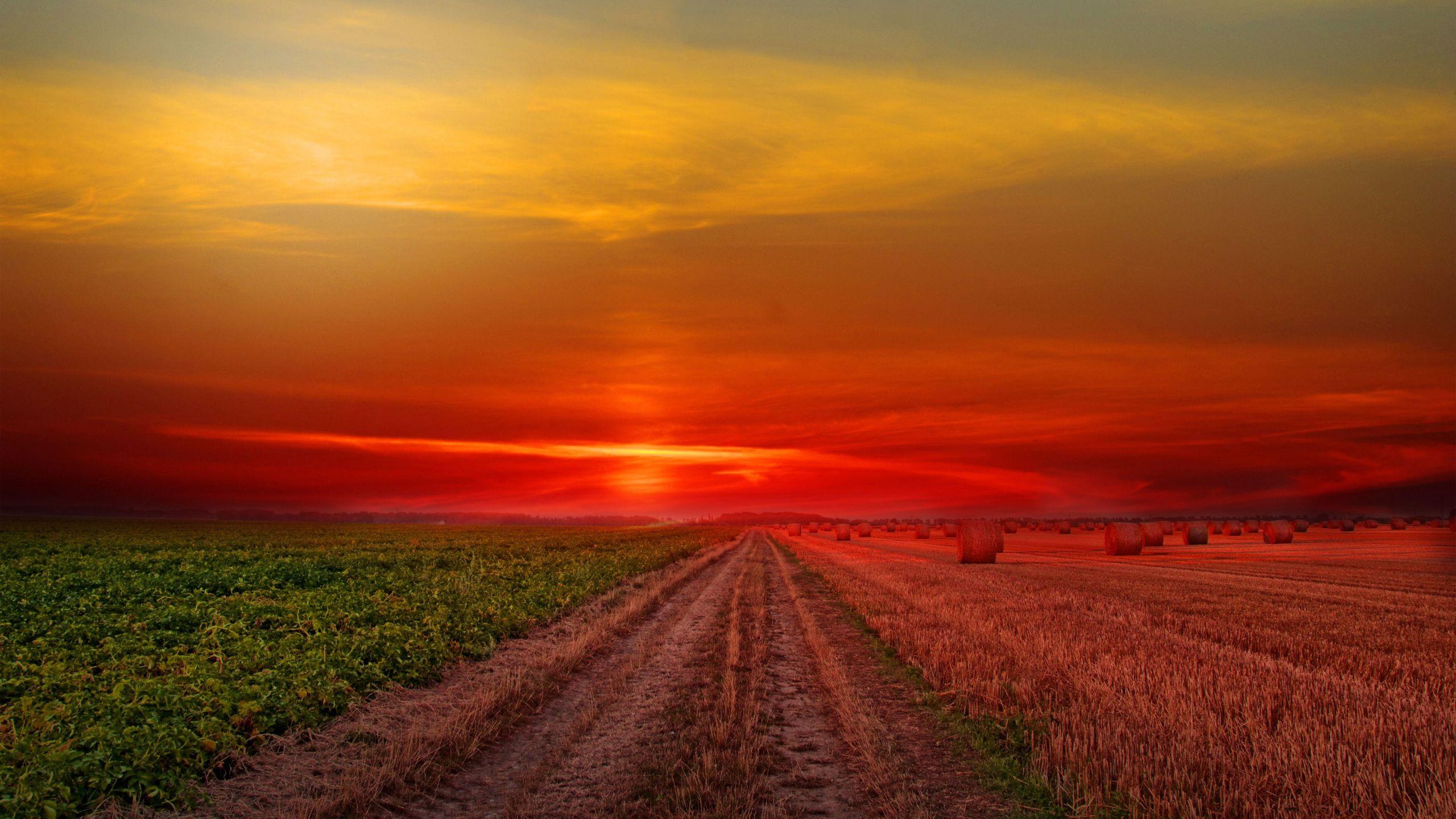 Colorful Sunset Wallpapers - Top Free Colorful Sunset Backgrounds ...