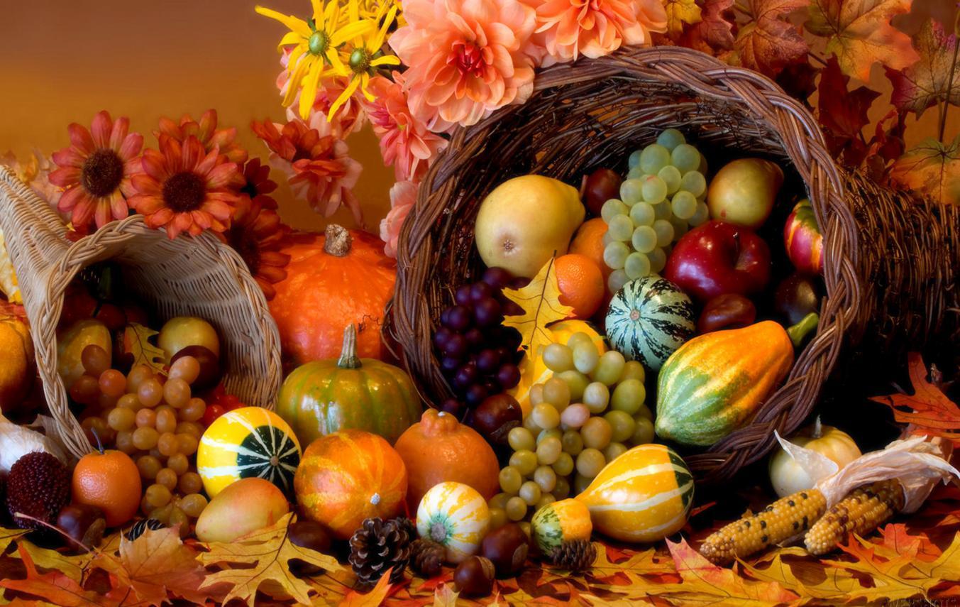 HD Thanksgiving Wallpapers - Top Free HD Thanksgiving Backgrounds - WallpaperAccess