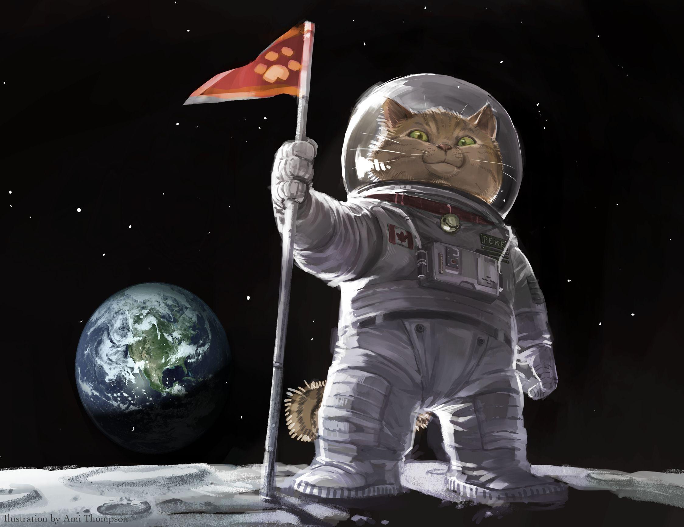 Cool Space Cat Wallpapers - Top Free Cool Space Cat Backgrounds ...