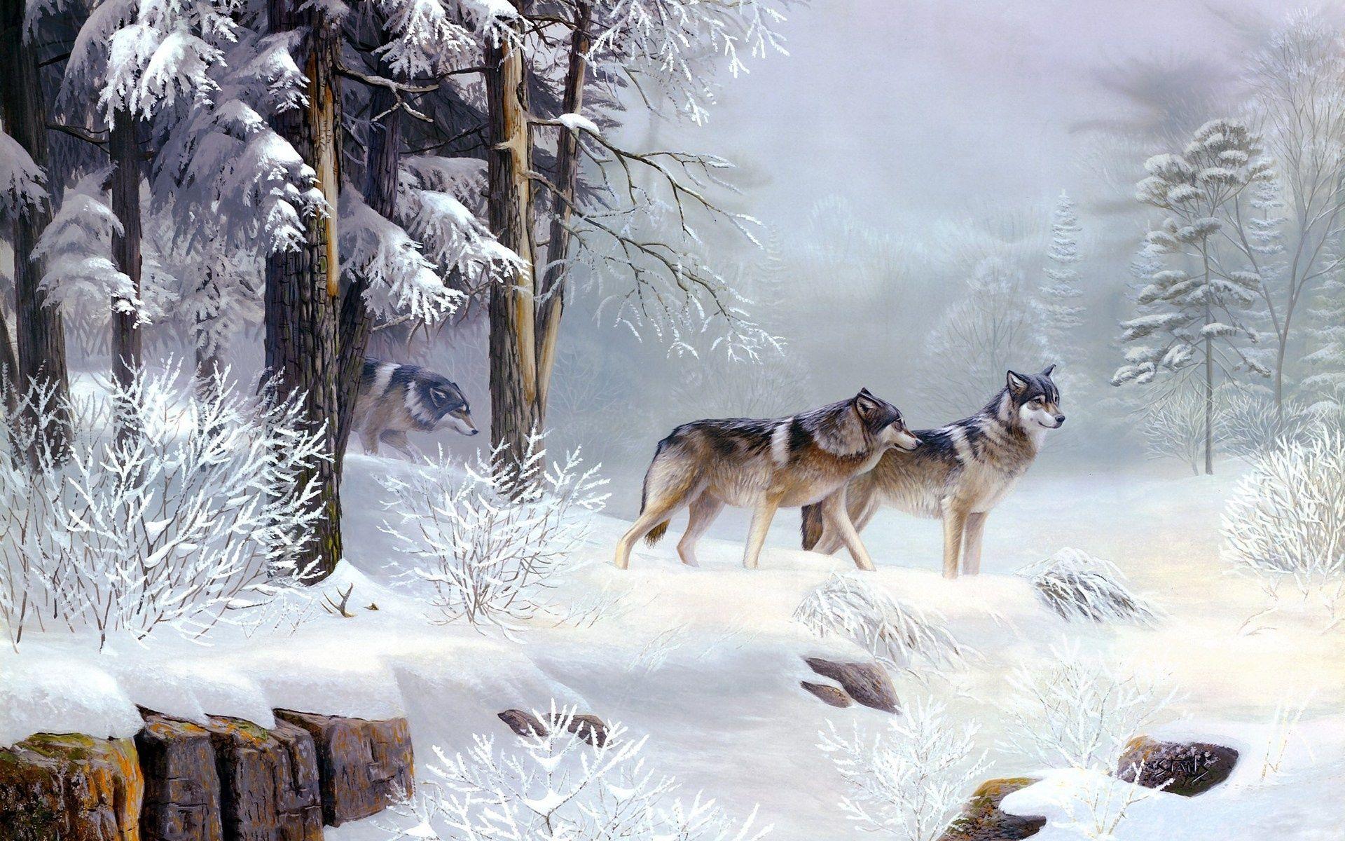 Winter Wolves Wallpapers - Top Free Winter Wolves Backgrounds ...