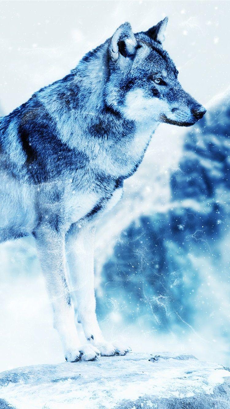 Winter Wolves Wallpapers - Top Free Winter Wolves Backgrounds ...