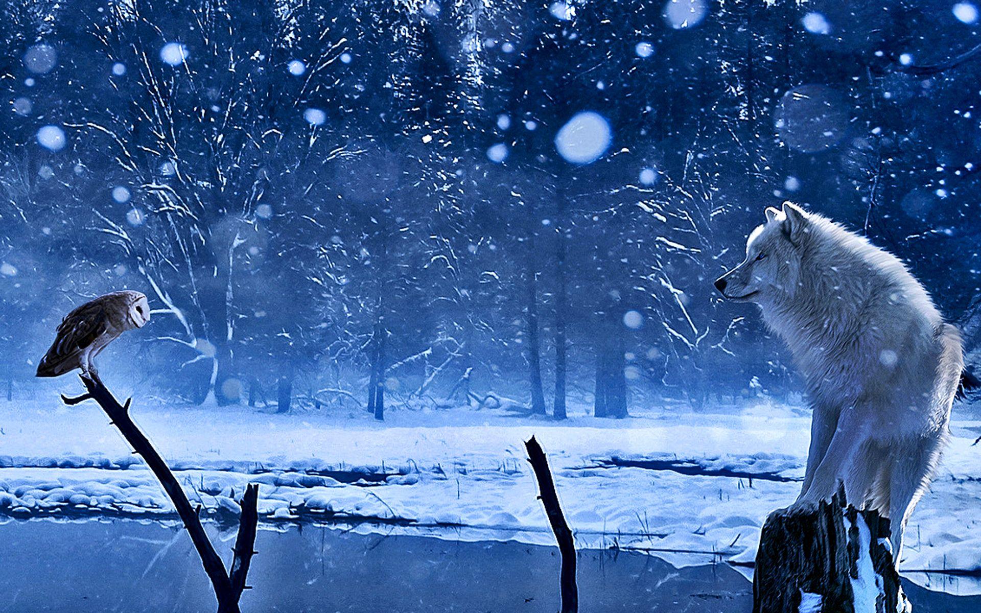 Winter Wolves Wallpapers - Top Free Winter Wolves Backgrounds ...