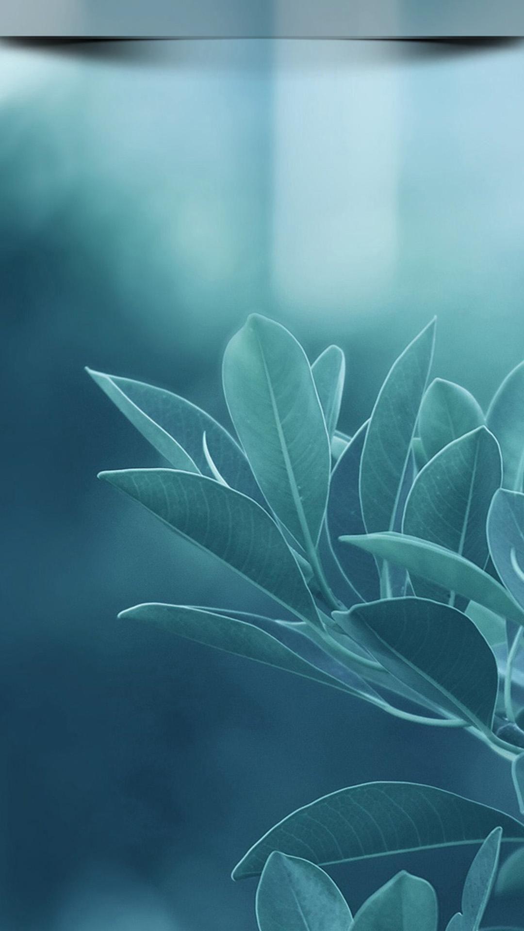 Teal HD Wallpapers - Top Free Teal HD Backgrounds - WallpaperAccess