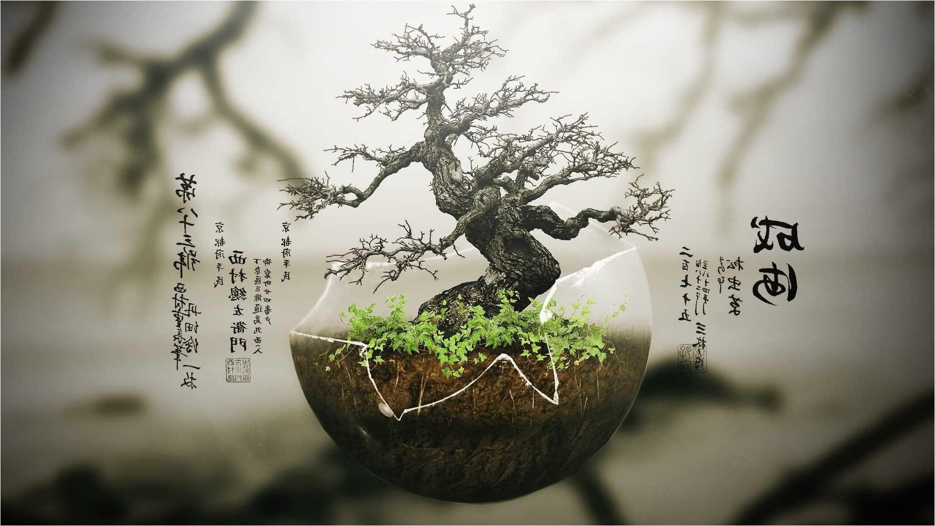 Bonsai Tree Wallpapers - Top Free Bonsai Tree Backgrounds - WallpaperAccess