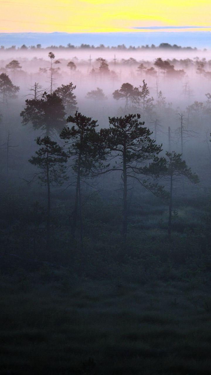 Morning Phone Wallpapers - Top Free Morning Phone Backgrounds ...