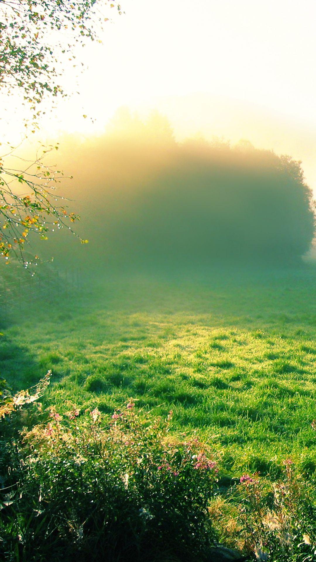 Morning Phone Wallpapers - Top Free Morning Phone Backgrounds ...