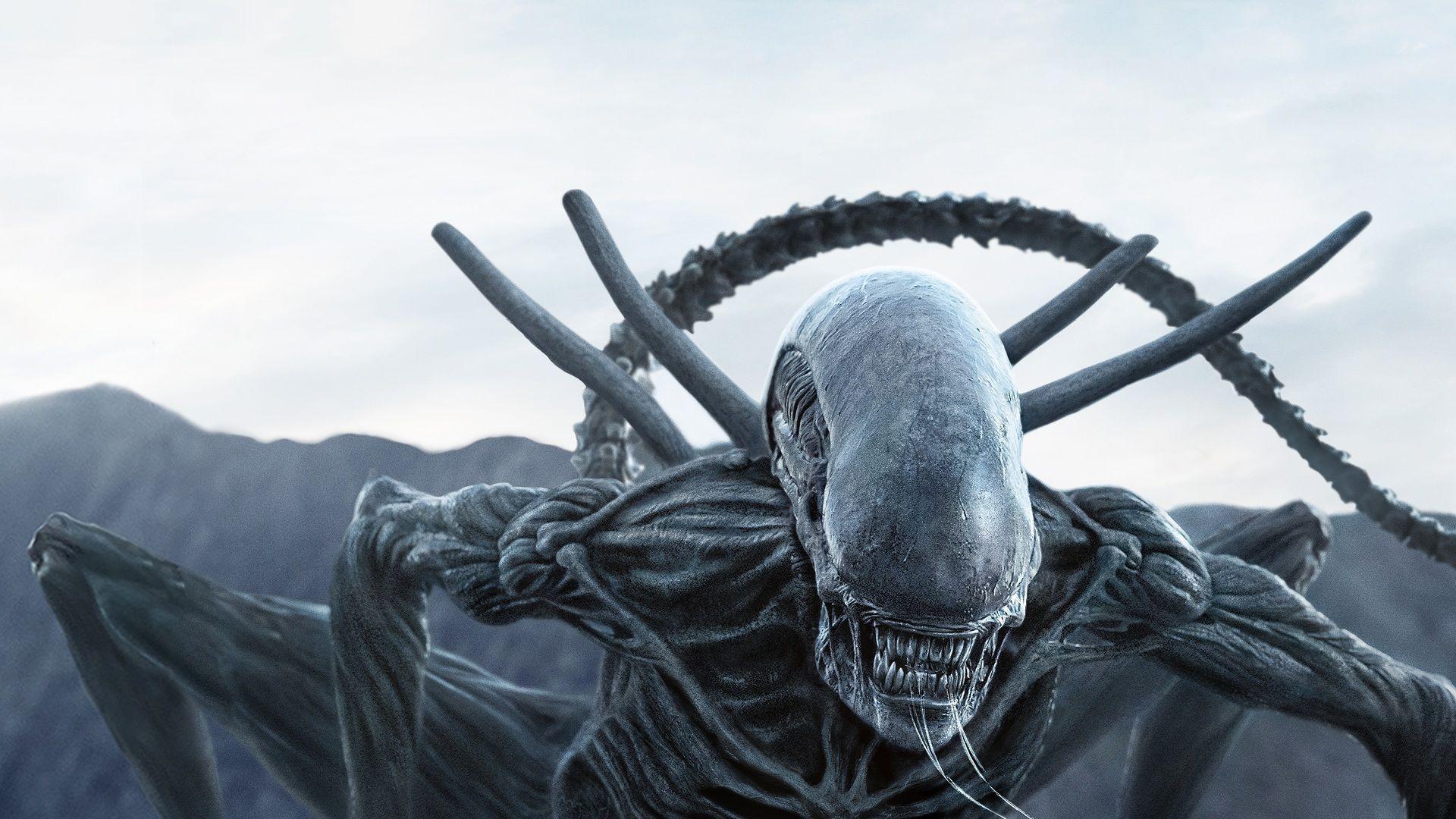 Alien Covenant 1920X1080 Wallpapers - Top Free Alien Covenant 1920X1080 ...