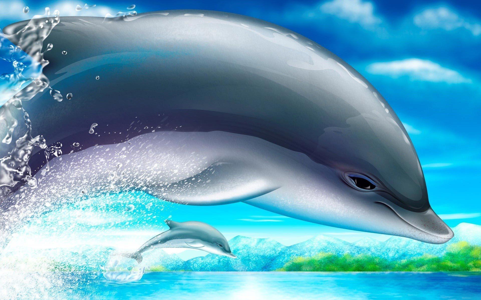 Cute Dolphins Wallpapers - Top Free Cute Dolphins Backgrounds ...