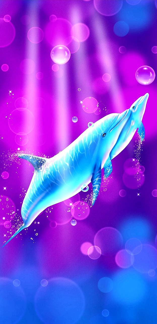 Cute Dolphins Wallpapers - Top Free Cute Dolphins Backgrounds ...