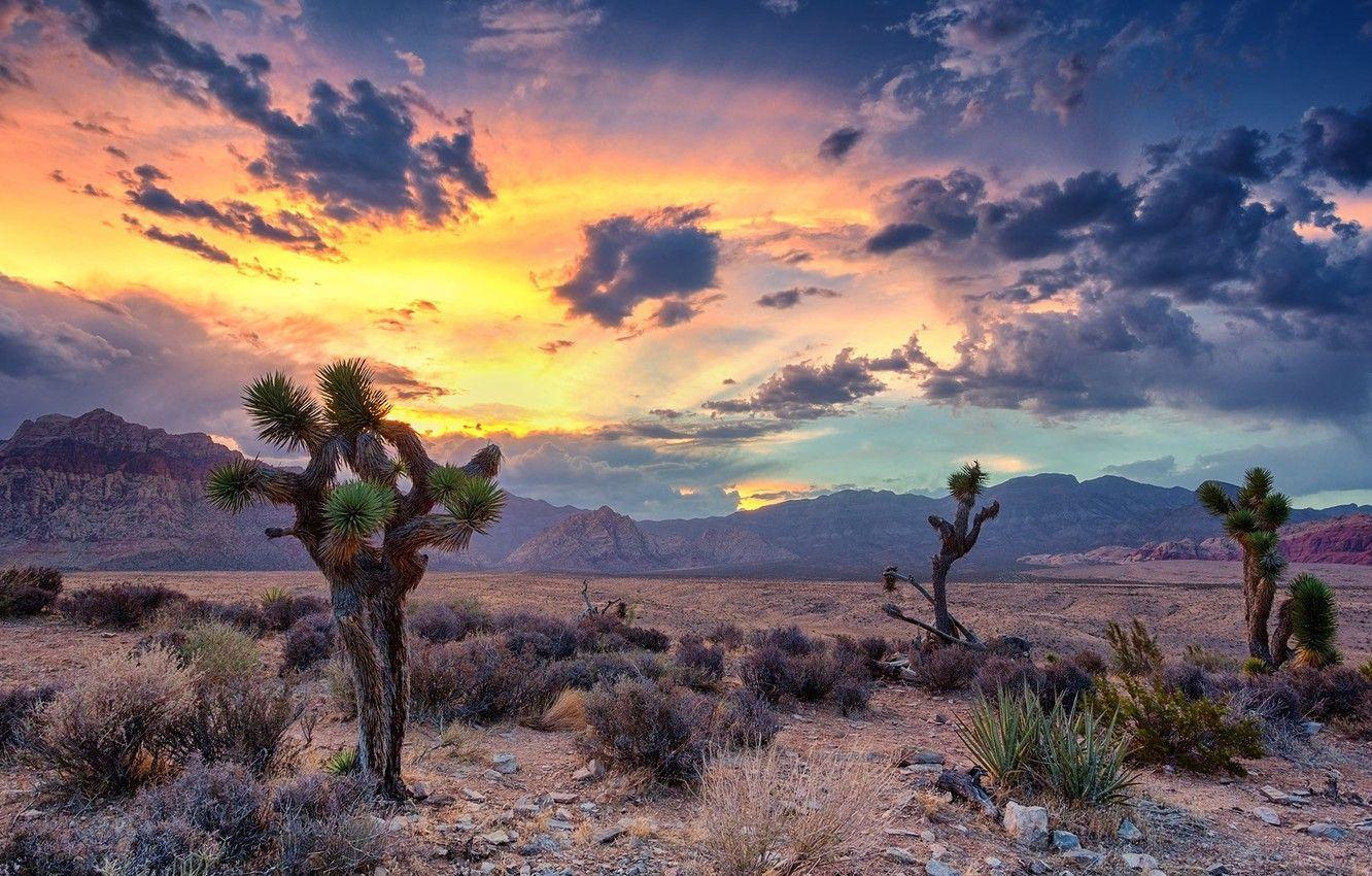USA Landscape Wallpapers - Top Free USA Landscape Backgrounds ...