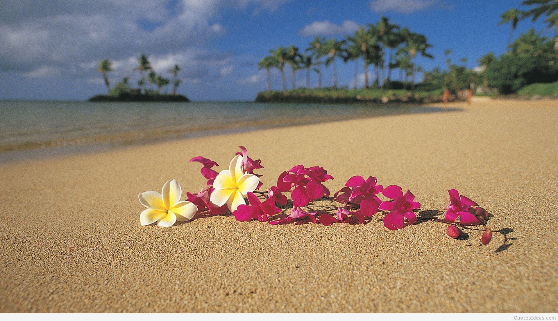 Hawaiian Flower Desktop Wallpapers - Top Free Hawaiian Flower Desktop ...