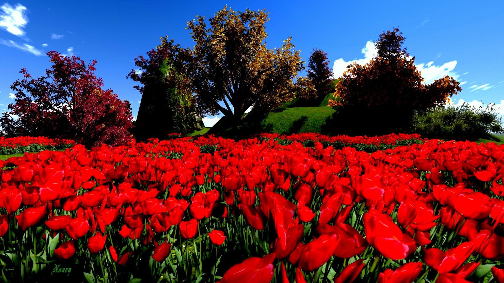 Red Flowers Desktop Wallpapers - Top Free Red Flowers Desktop ...