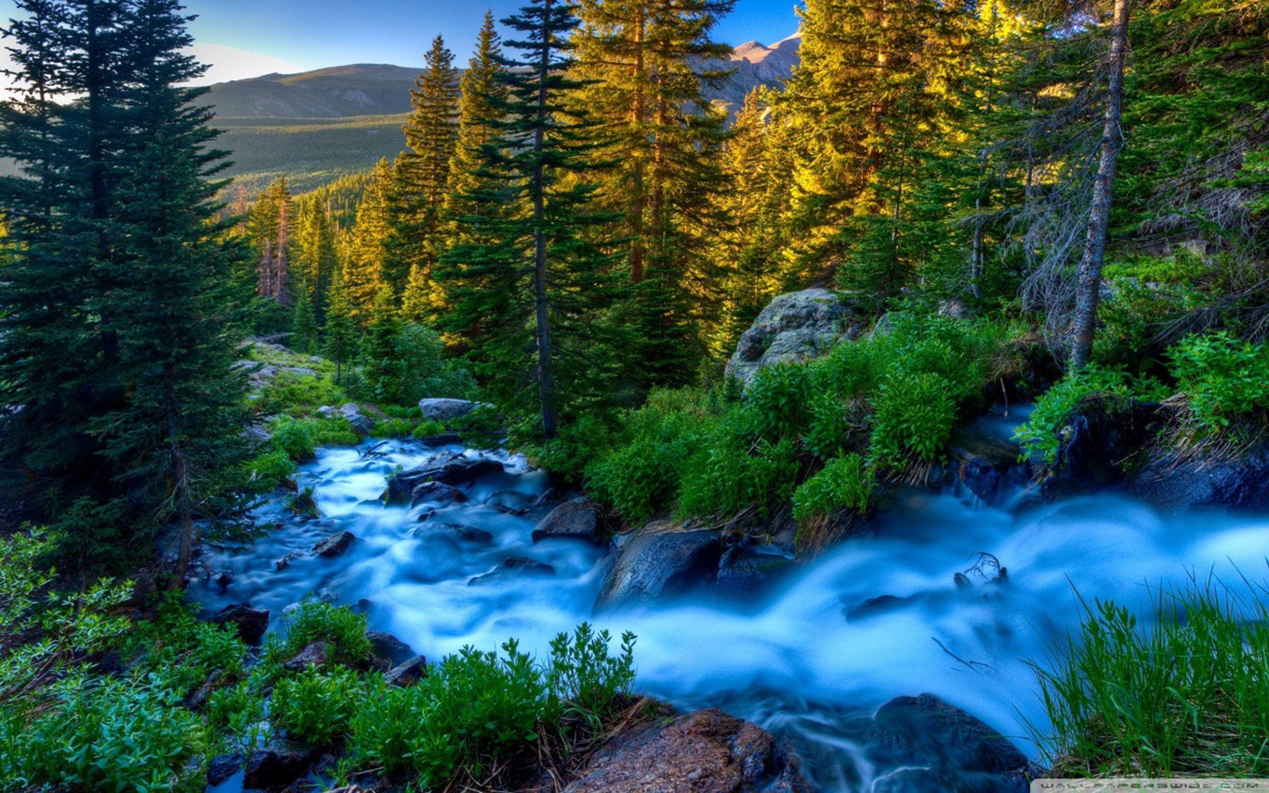 Forest Water Wallpapers - Top Free Forest Water Backgrounds ...