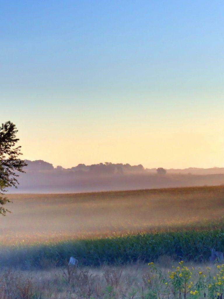 Summer Morning Wallpapers - Top Free Summer Morning Backgrounds ...