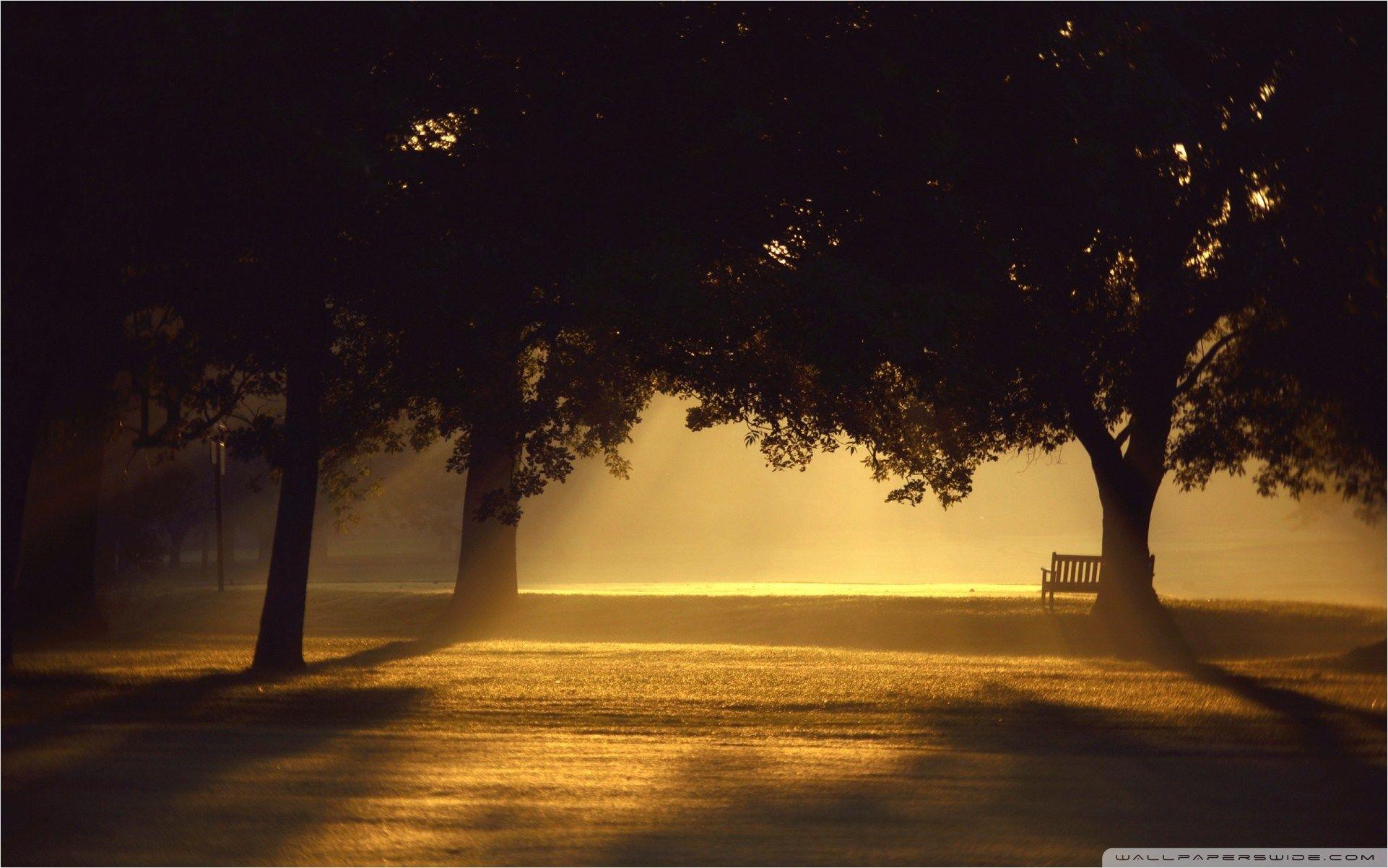 Beautiful Light Wallpapers - Top Free Beautiful Light Backgrounds ...