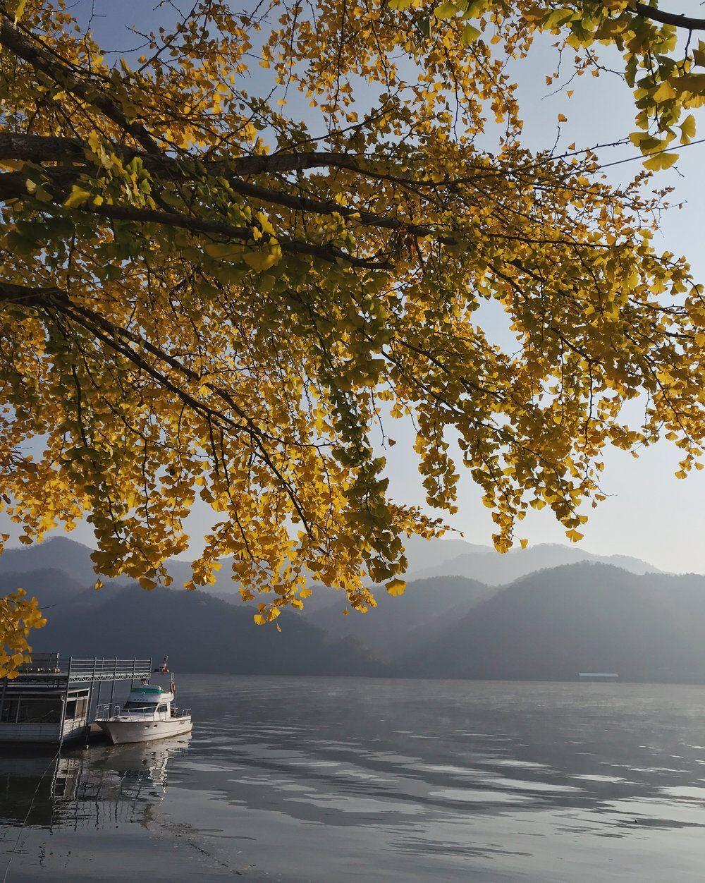 Nami Island Korea Wallpapers - Top Free Nami Island Korea Backgrounds ...