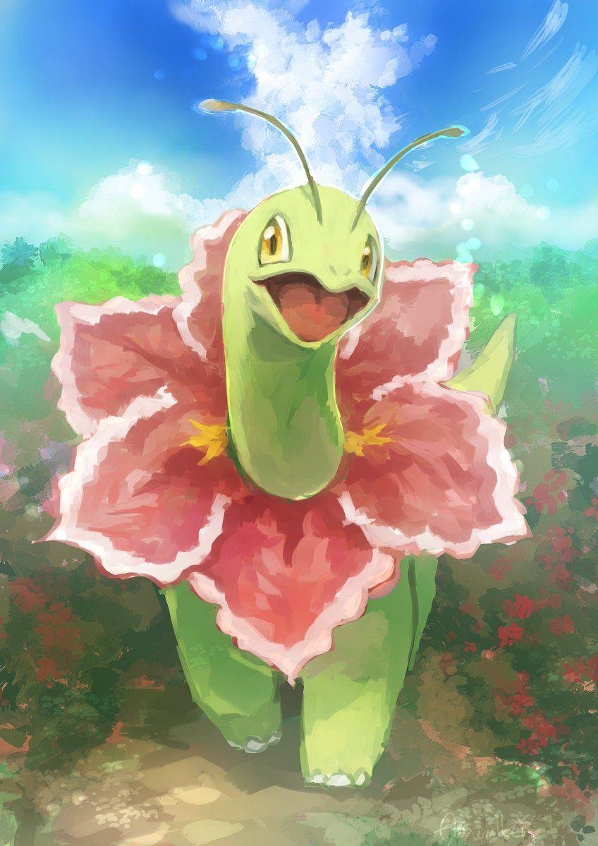 Meganium Wallpapers - Top Free Meganium Backgrounds - WallpaperAccess