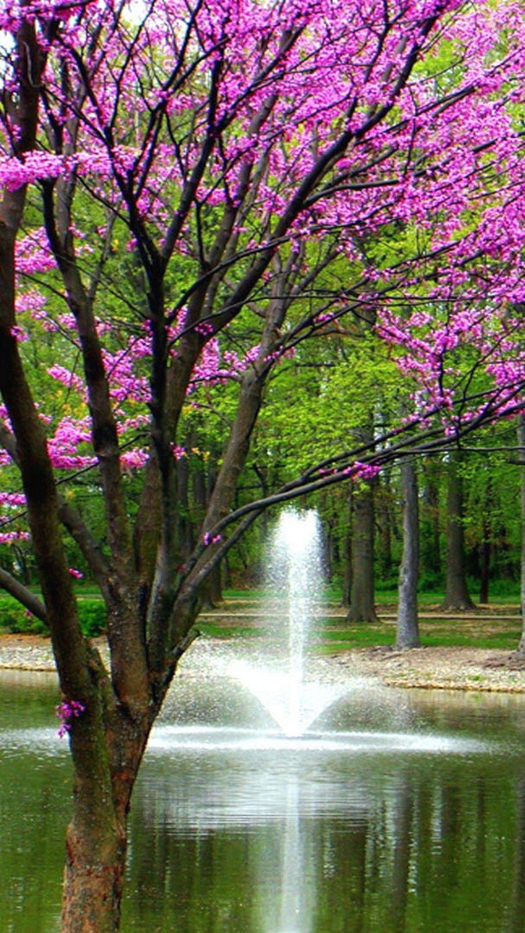 Spring Water Wallpapers - Top Free Spring Water Backgrounds ...