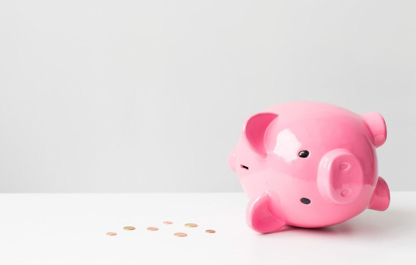 Piggy Wallpapers - Top Free Piggy Backgrounds - WallpaperAccess