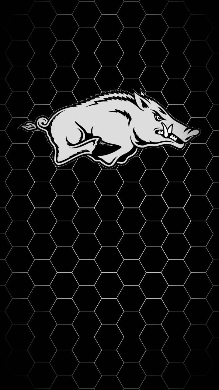 Hog Rider Wallpapers - Top Free Hog Rider Backgrounds - WallpaperAccess