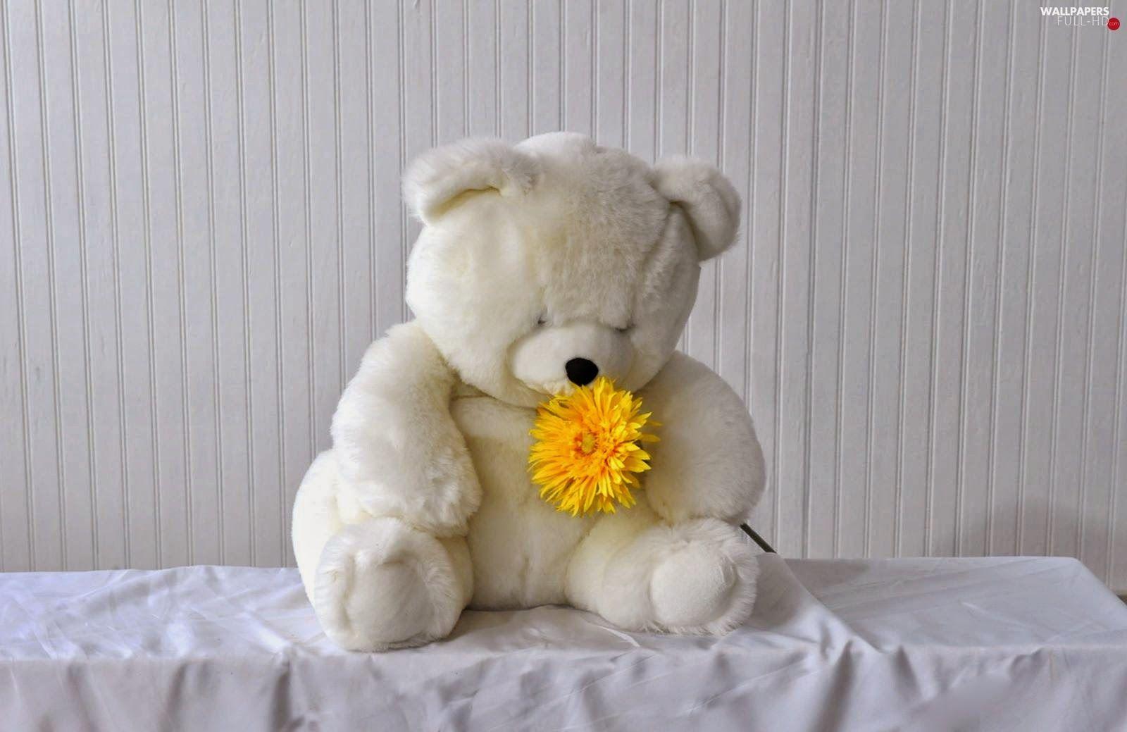 1024X600 HD Wallpapers - Top Free 1024X600 HD Backgrounds - WallpaperAccess