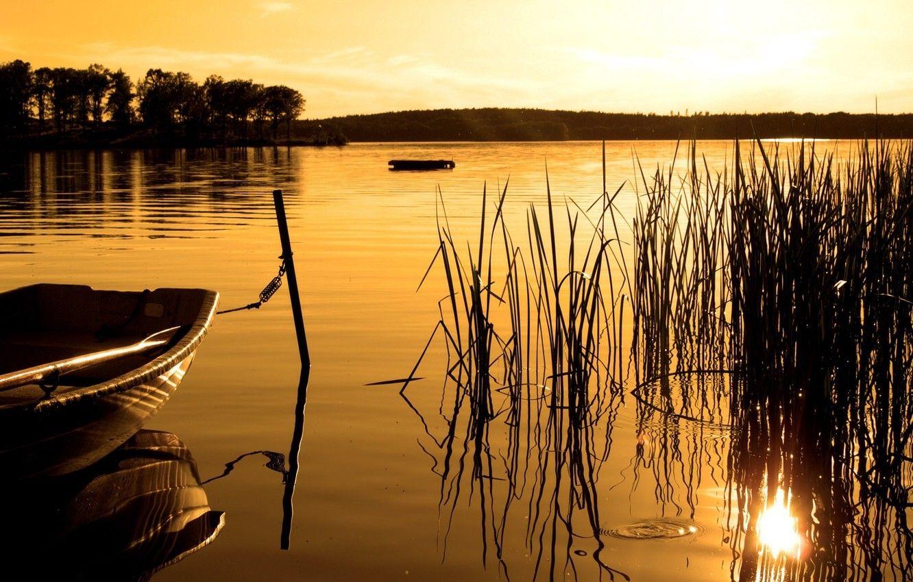 Sepia Wallpapers - Top Free Sepia Backgrounds - WallpaperAccess