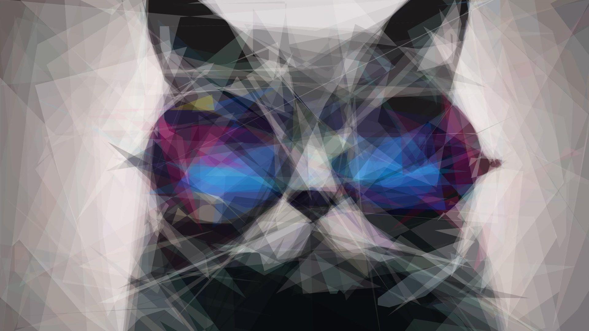 Space Galaxy Cat With Glasses