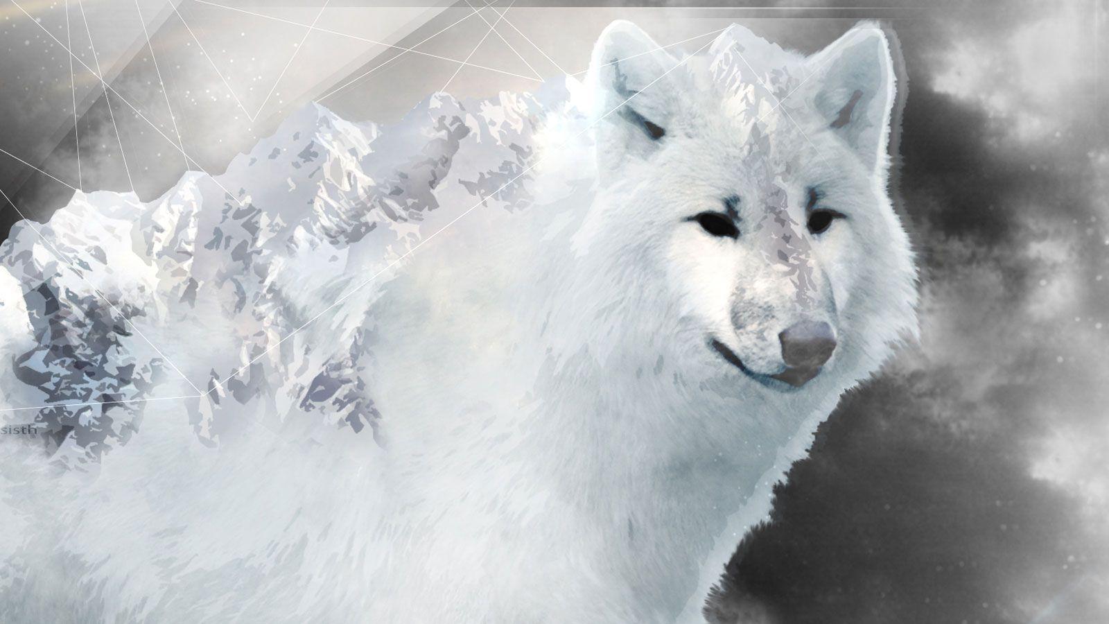 Winter Wolf Wallpapers - Top Free Winter Wolf Backgrounds - WallpaperAccess