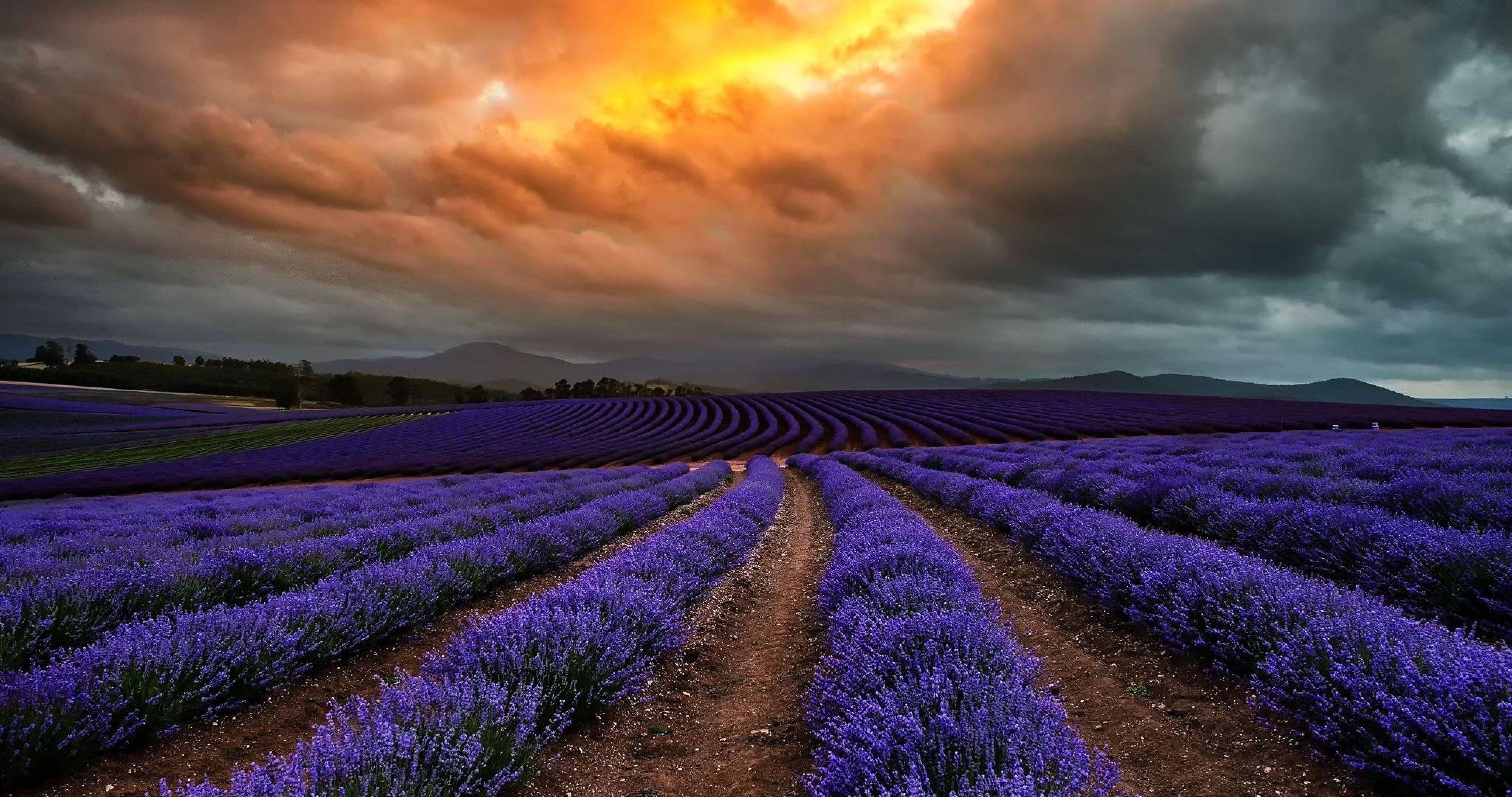 4096 X 2160 Wallpapers - Top Free 4096 X 2160 Backgrounds - WallpaperAccess