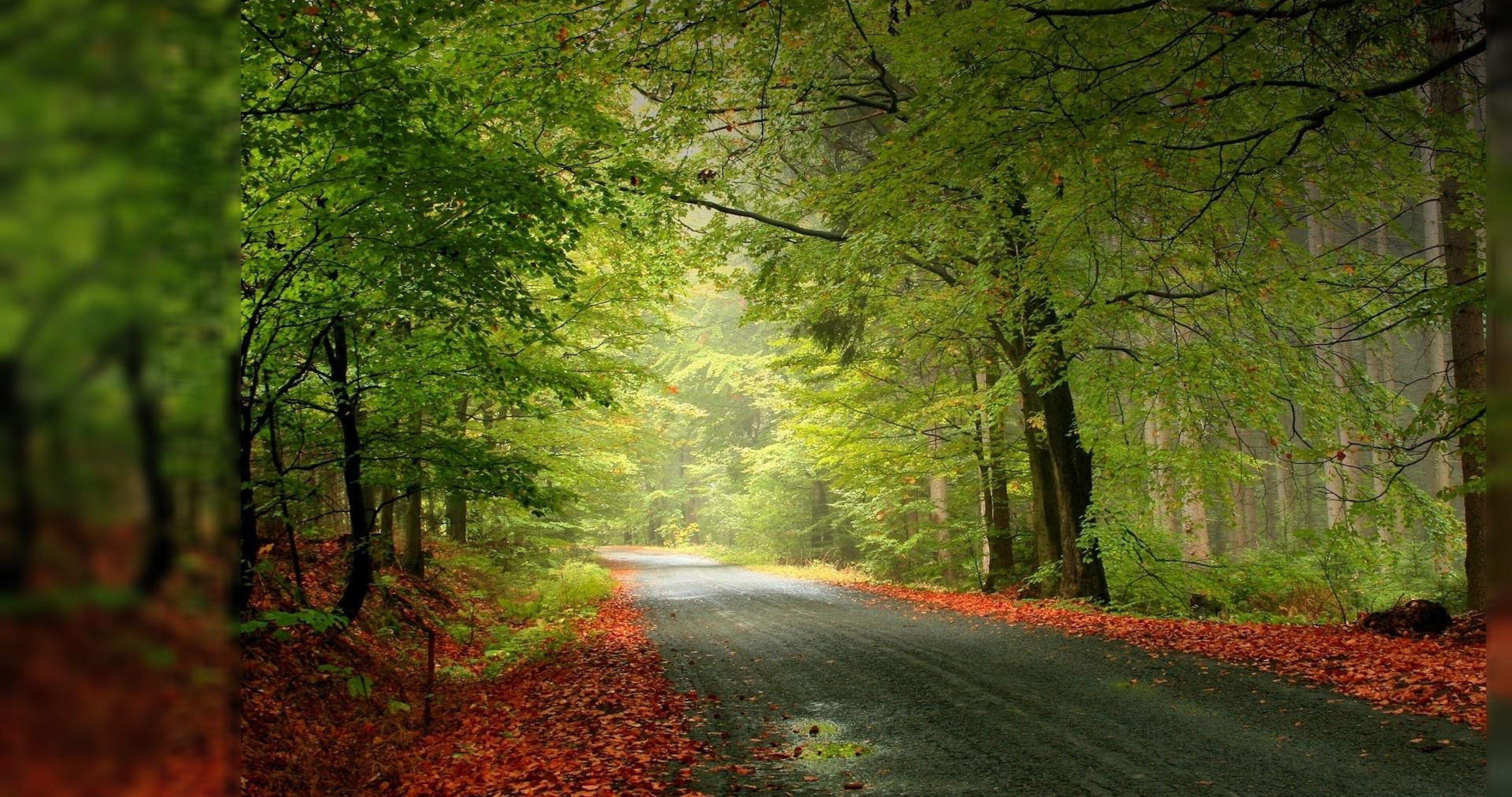 4096X2160 4K Ultra HD Wallpapers - Top Free 4096X2160 4K Ultra HD ...