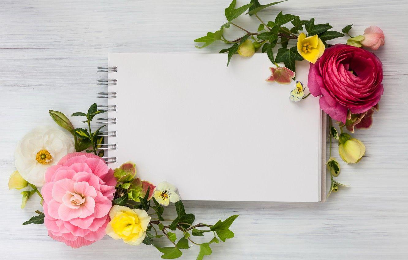 Flower Frame Wallpapers - Top Free Flower Frame Backgrounds ...