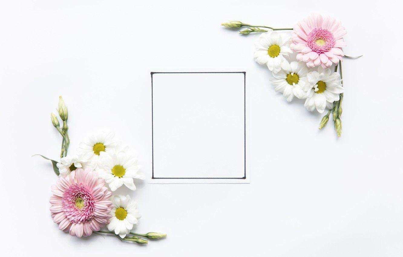 Flower Frame Wallpapers - Top Free Flower Frame Backgrounds ...