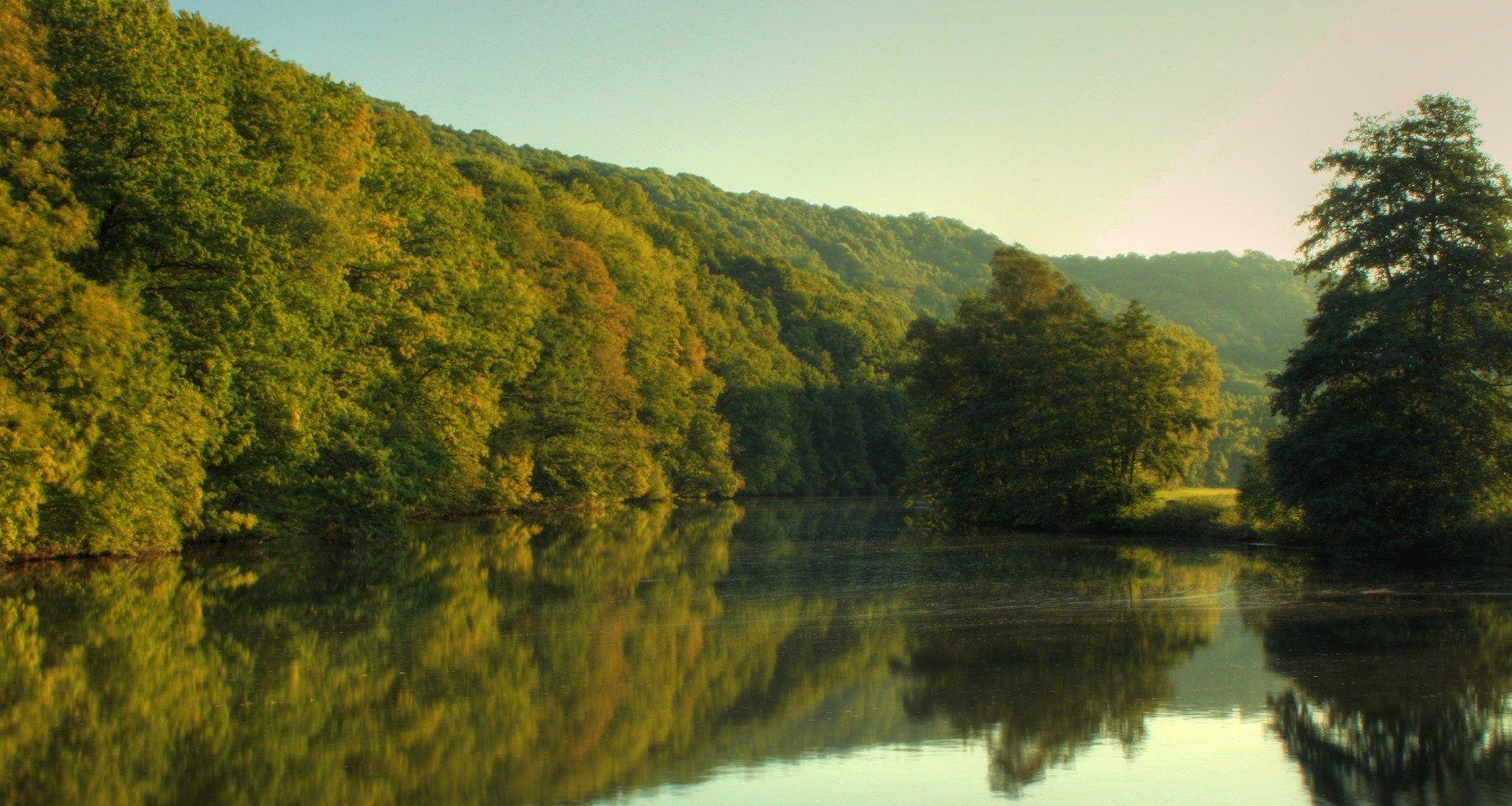 Forest Dual Screen Wallpapers - Top Free Forest Dual Screen Backgrounds ...