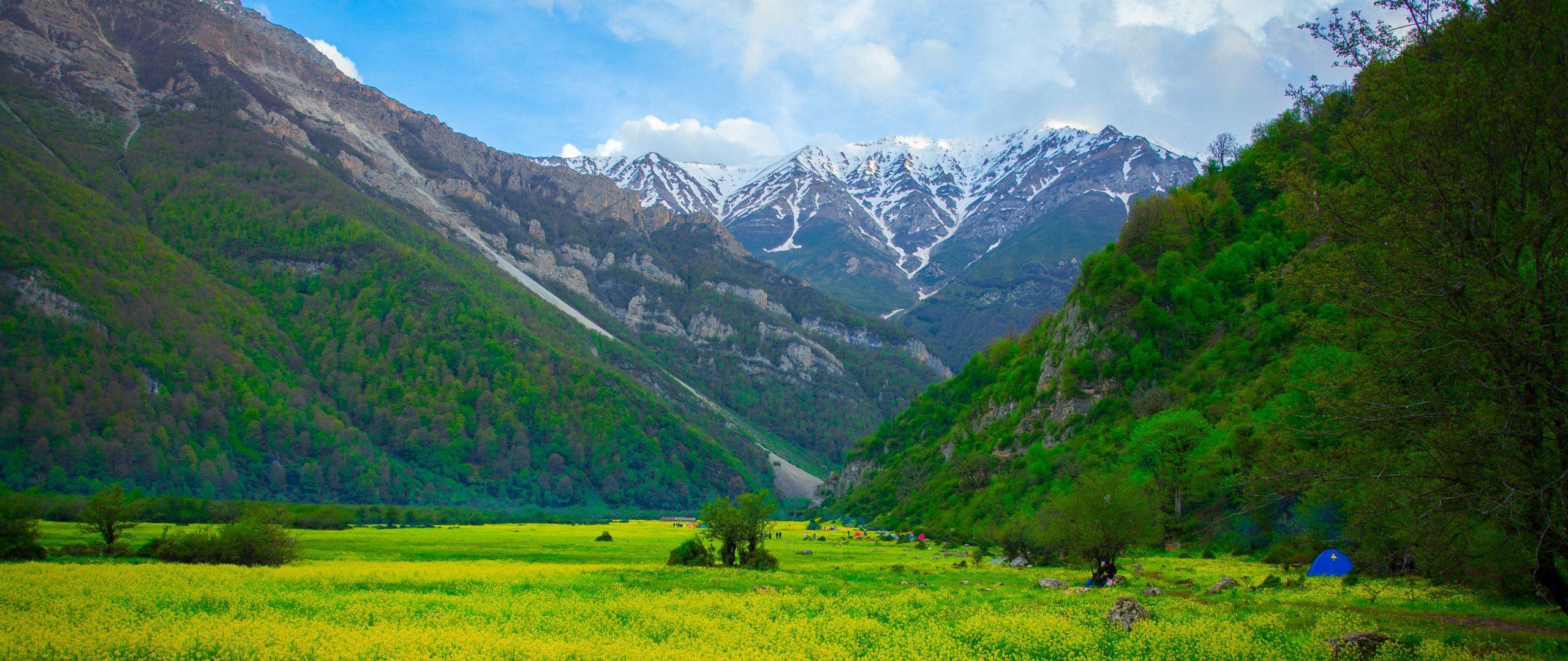 Mountain Flowers Wallpapers - Top Free Mountain Flowers Backgrounds ...