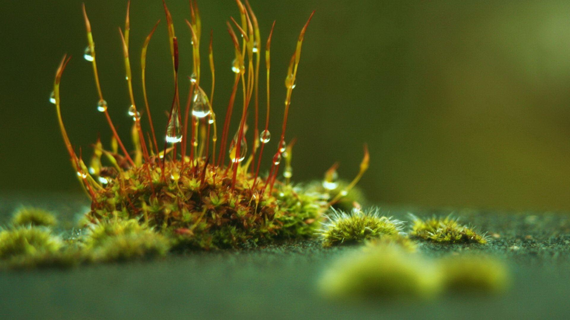 Geography Wallpapers - Top Free Geography Backgrounds - WallpaperAccess