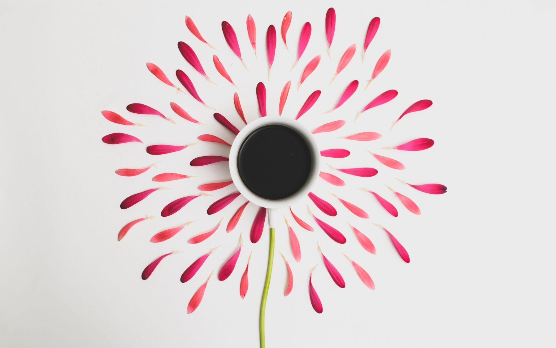 Flower Minimalist Desktop Wallpapers - Top Free Flower Minimalist ...