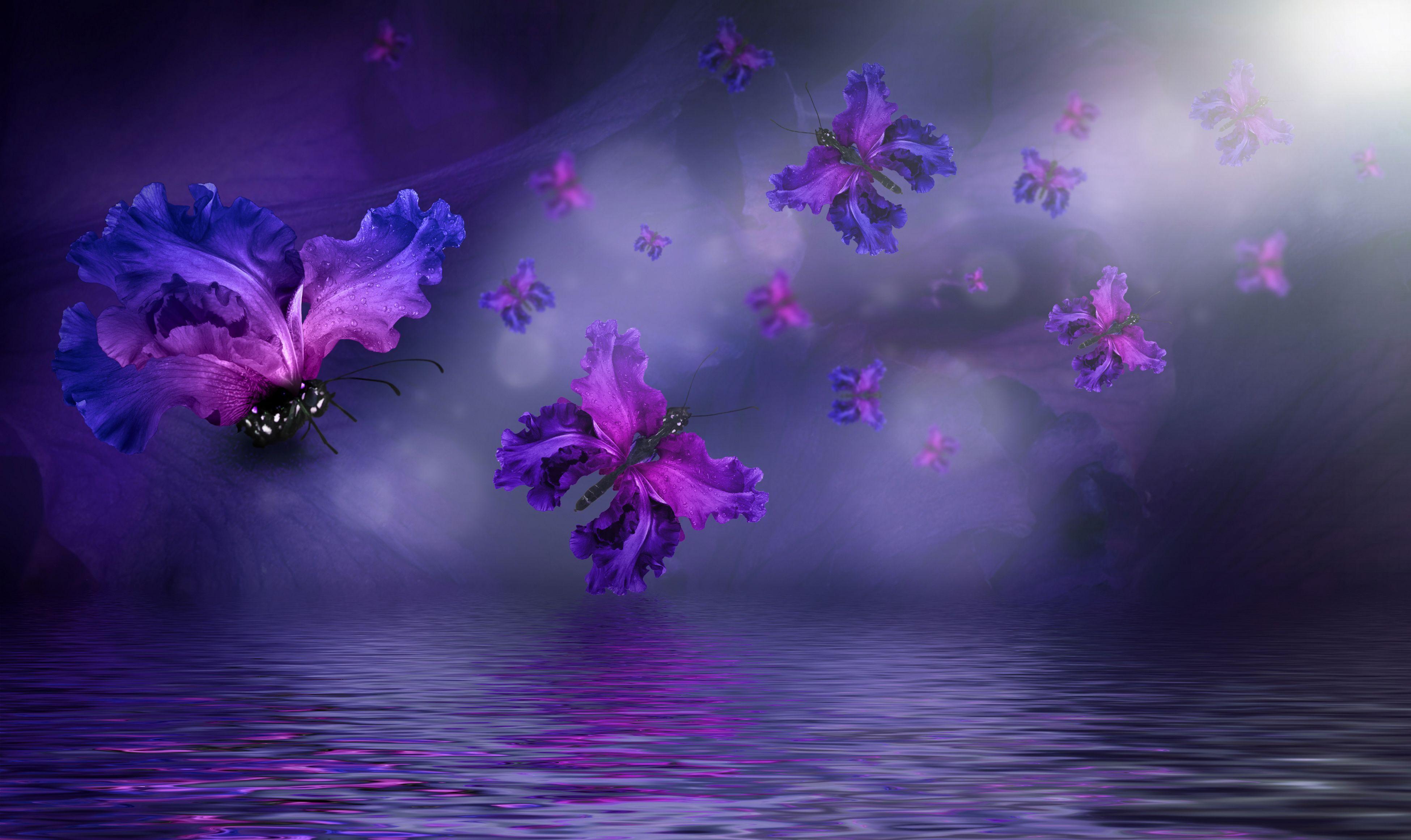 Creative Flower Desktop Wallpapers - Top Free Creative Flower Desktop ...