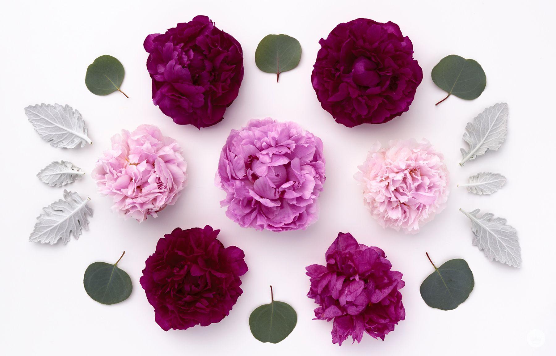 Creative Flower Desktop Wallpapers - Top Free Creative Flower Desktop ...