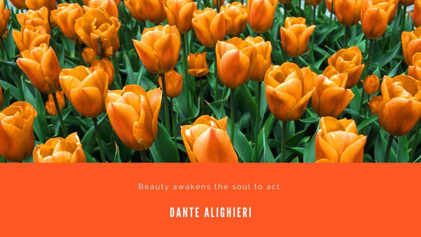 Orange Flower Desktop Wallpapers - Top Free Orange Flower Desktop ...