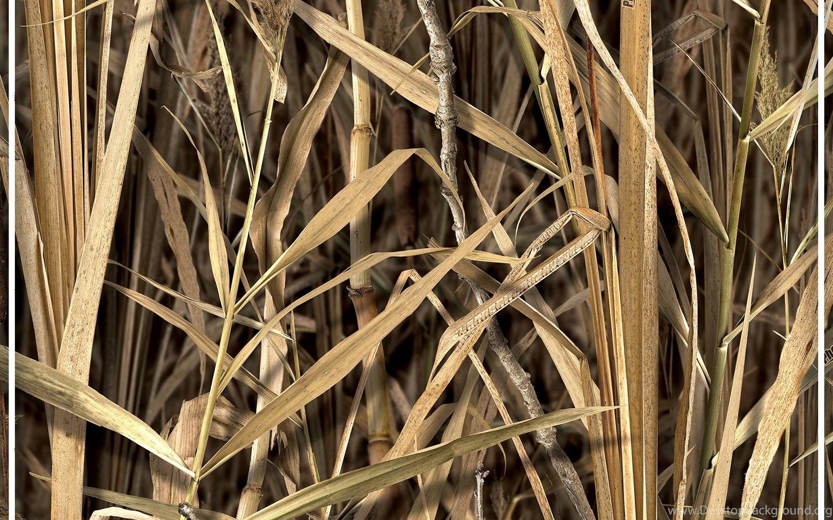 Duck Hunting Desktop Wallpapers - Top Free Duck Hunting Desktop ...