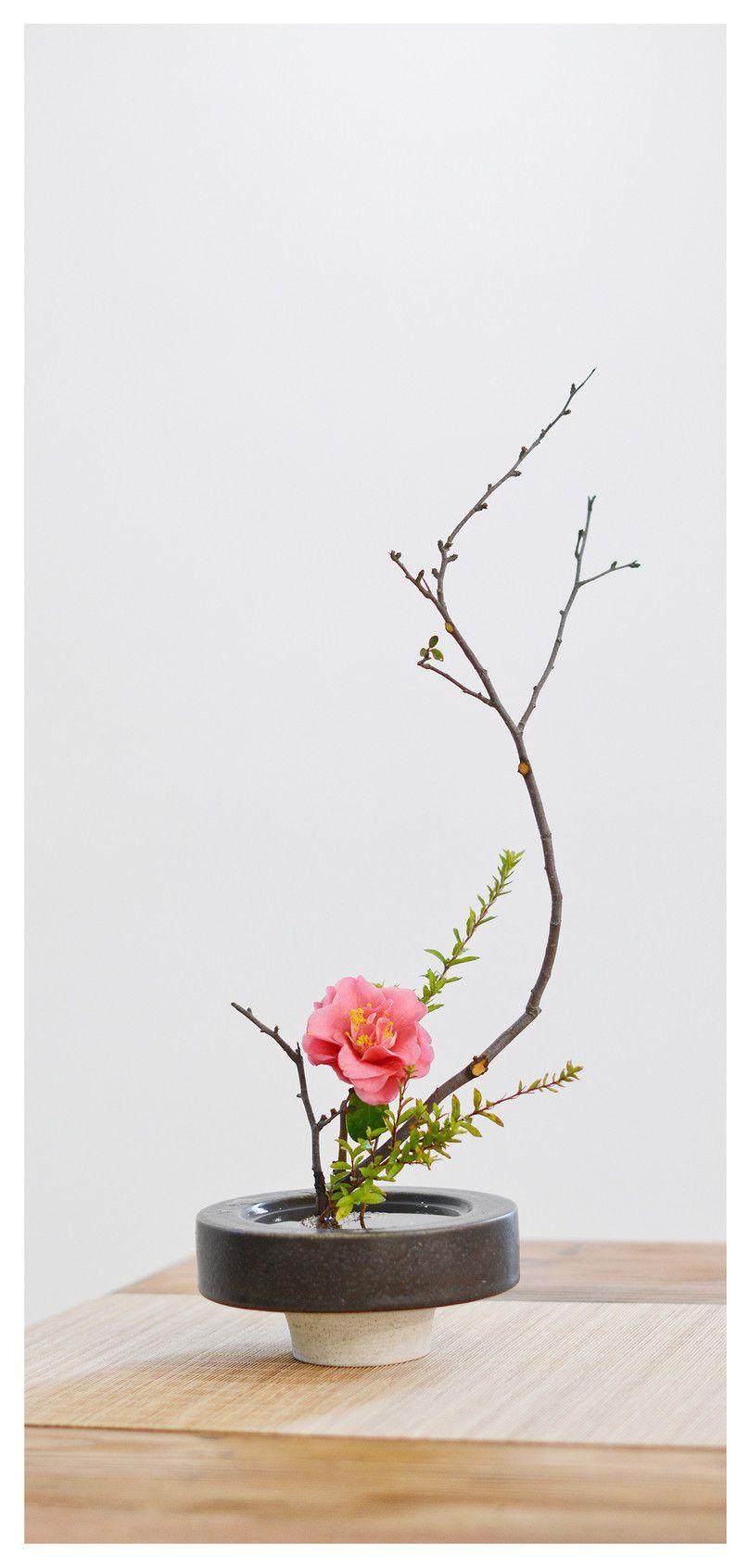 Ikebana Wallpapers - Top Free Ikebana Backgrounds - WallpaperAccess