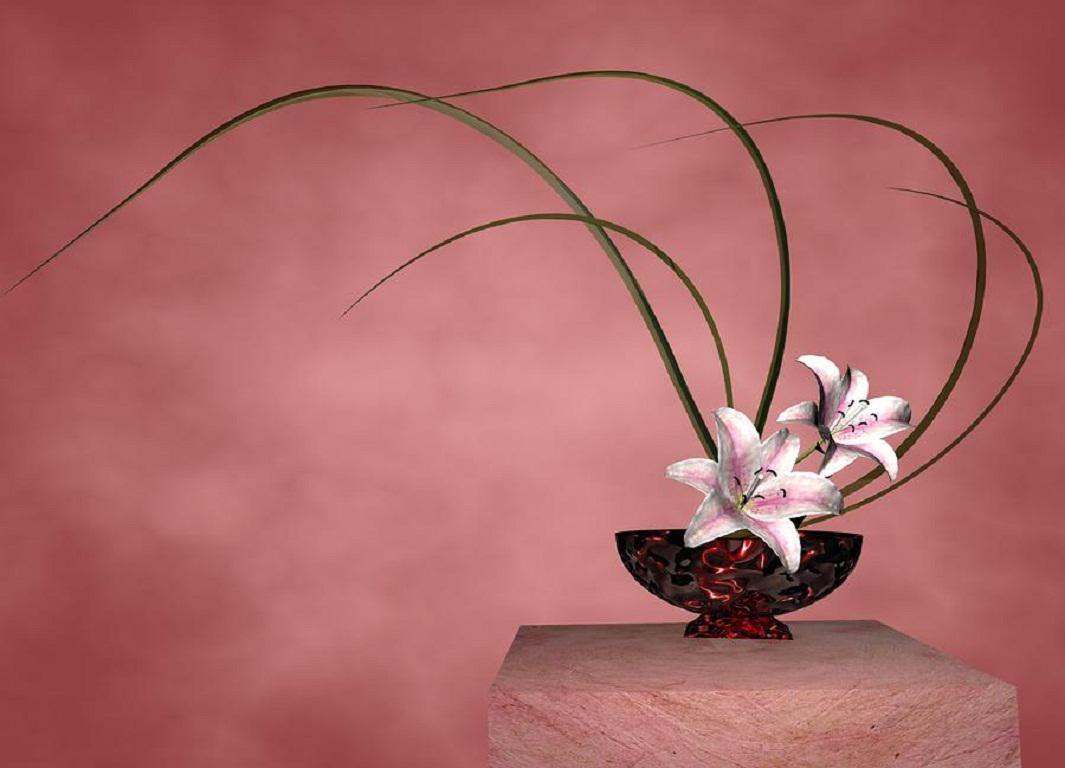 Ikebana Wallpapers - Top Free Ikebana Backgrounds - WallpaperAccess