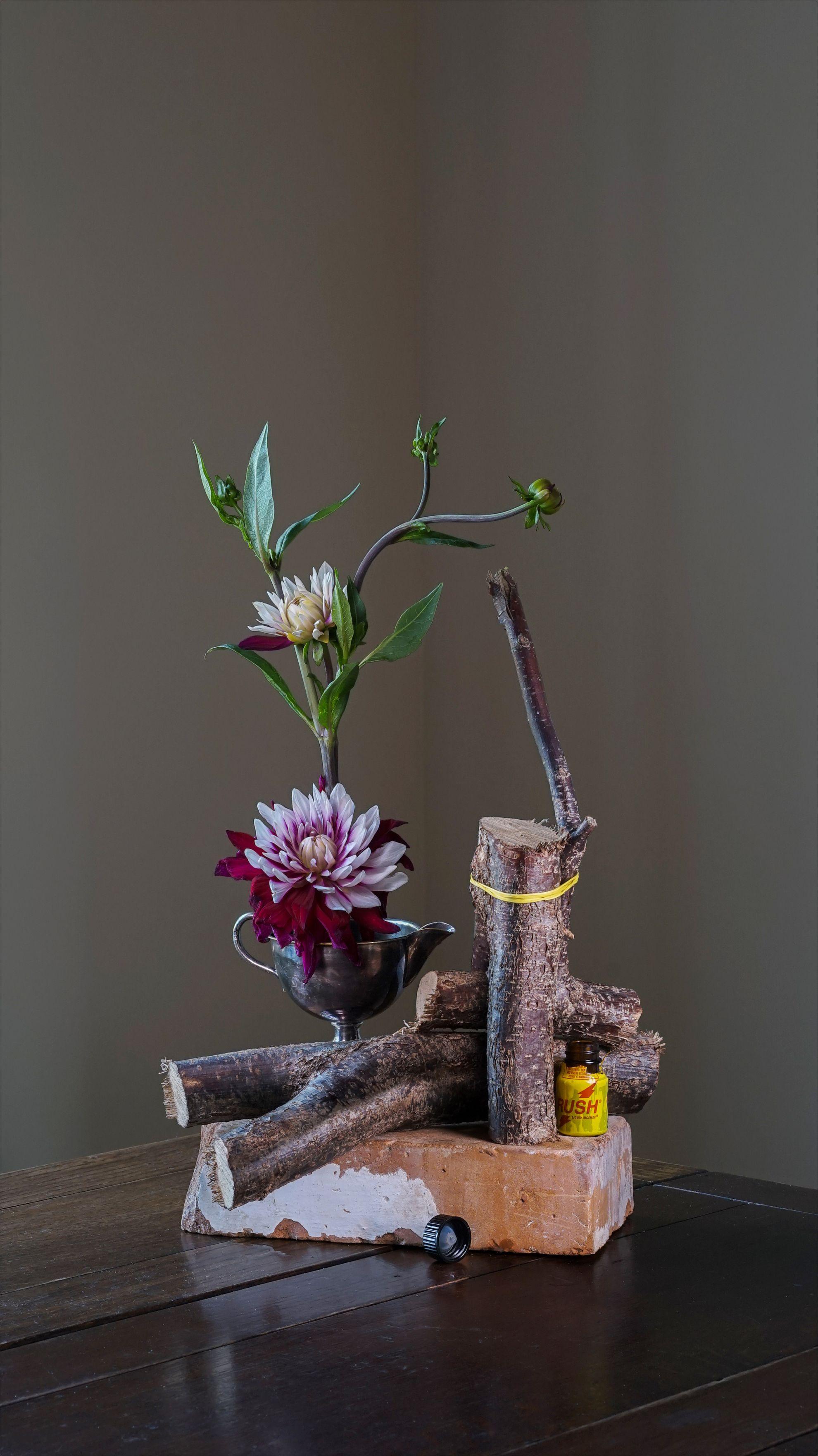 Ikebana Wallpapers - Top Free Ikebana Backgrounds - WallpaperAccess