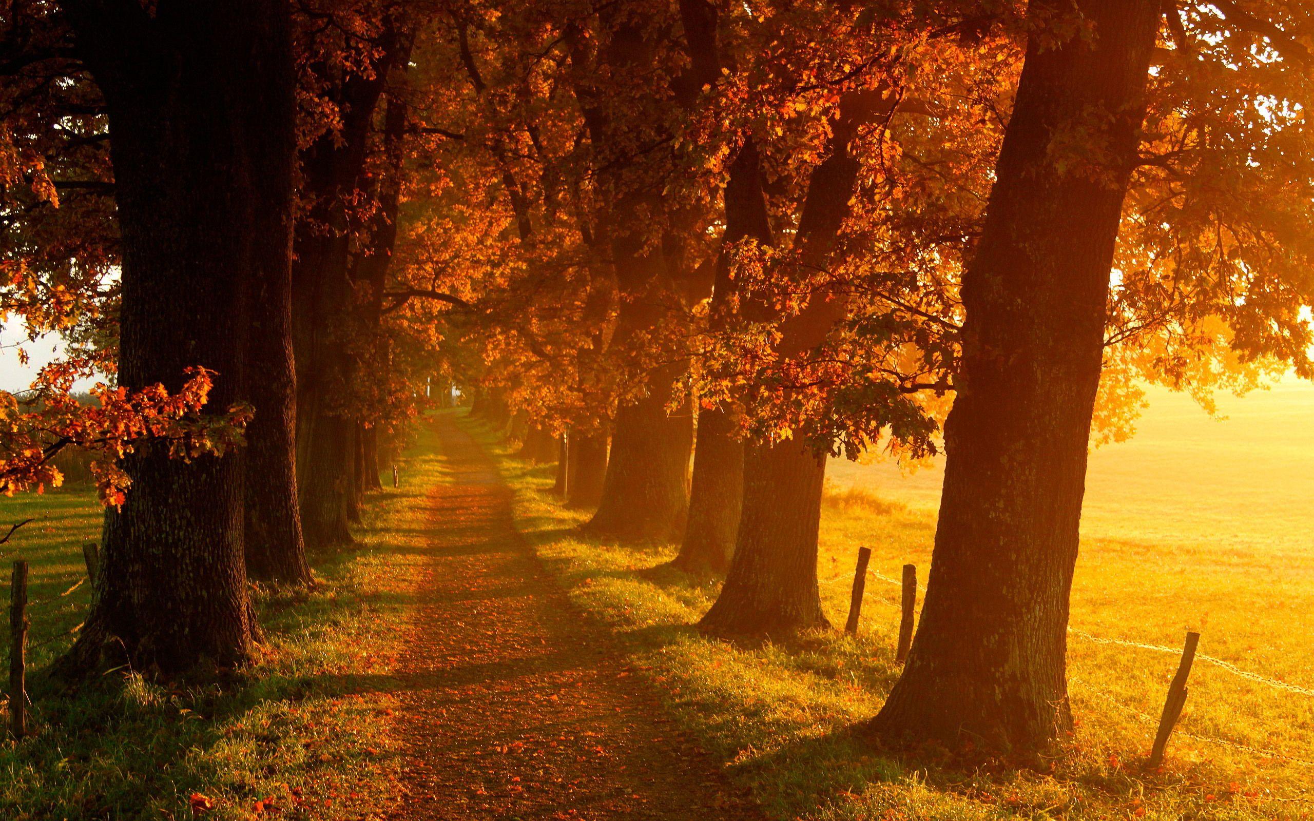 Warm Scenery Wallpapers - Top Free Warm Scenery Backgrounds ...