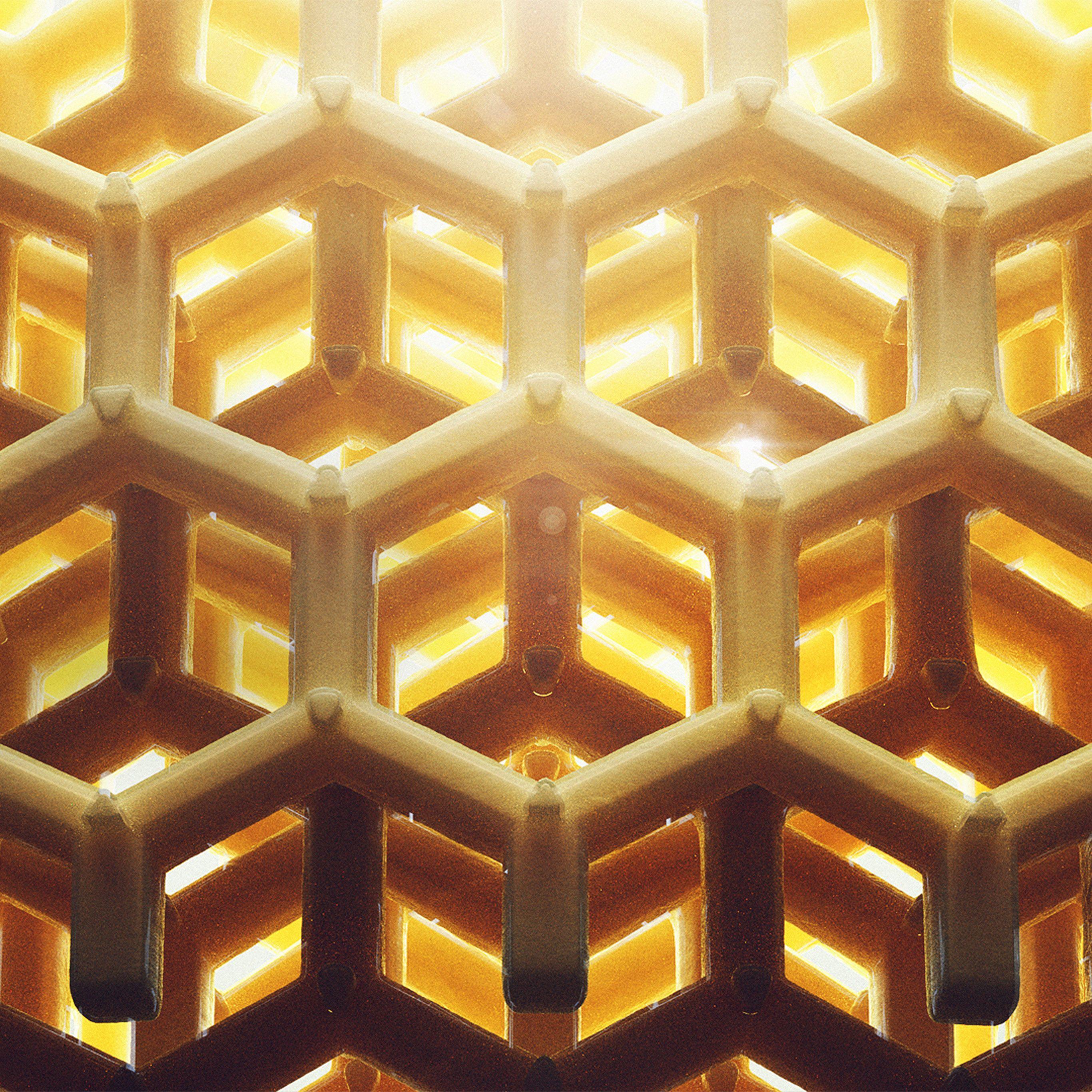 Hive Wallpapers - Top Free Hive Backgrounds - WallpaperAccess