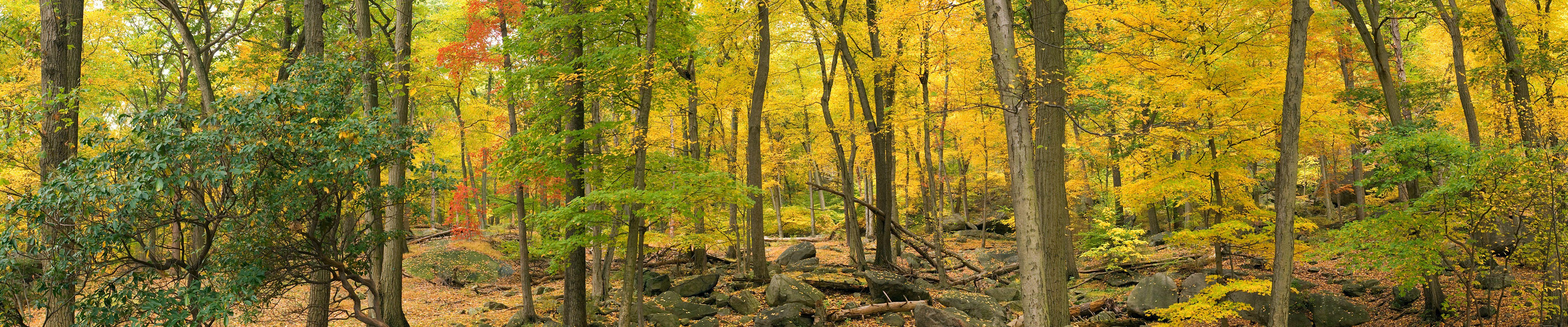 Autumn Panoramic Wallpapers - Top Free Autumn Panoramic Backgrounds ...