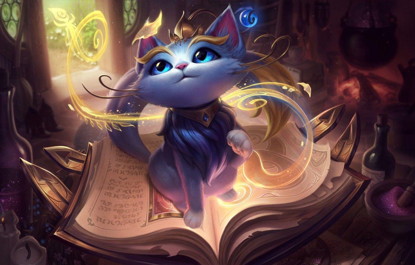 Magic Cat Wallpapers - Top Free Magic Cat Backgrounds - WallpaperAccess