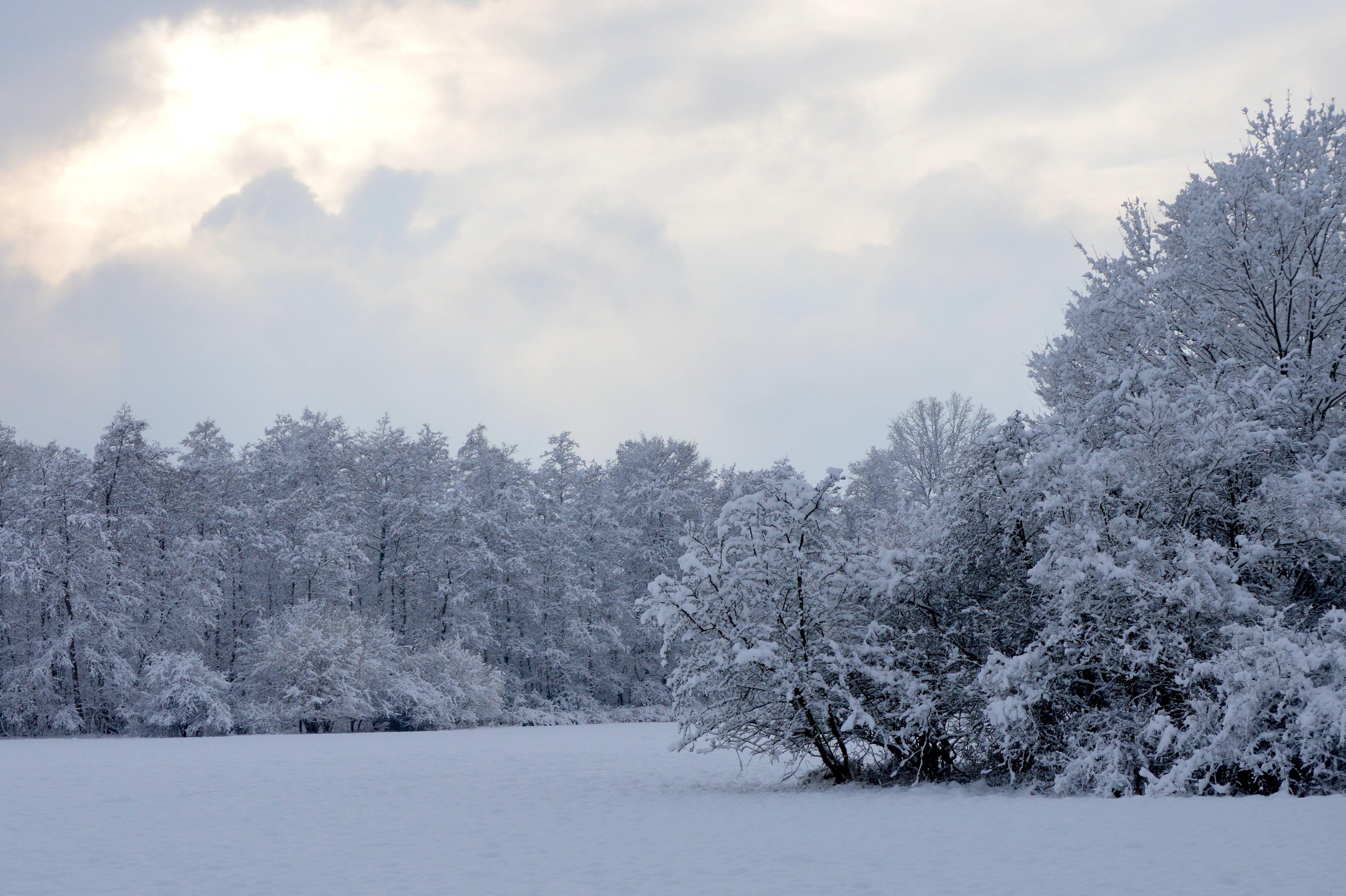 Horror Landscape Wallpapers - Top Free Horror Landscape Backgrounds ...